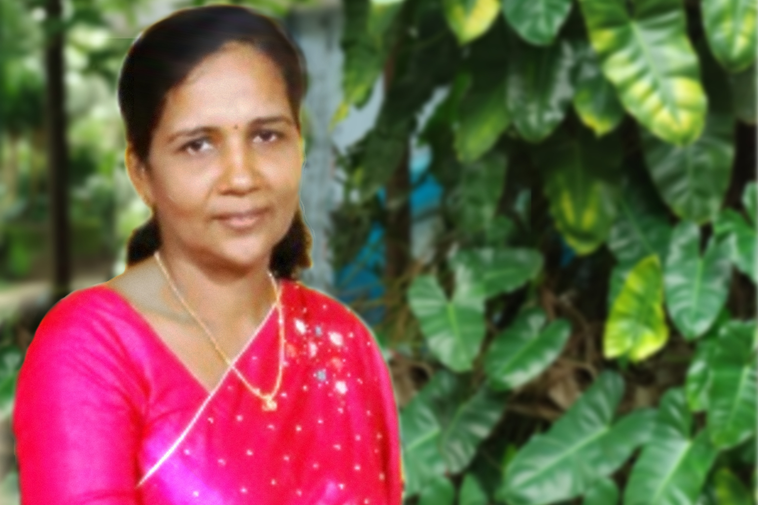 Faculty – School of Technology and Applied Sciences